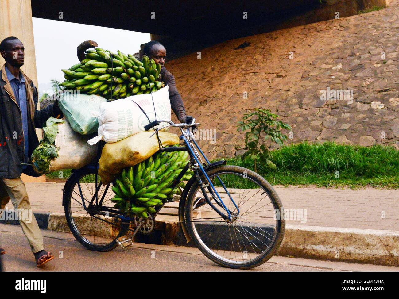 A Rwandan man pushing plantains on his bicycle to a local market in ...