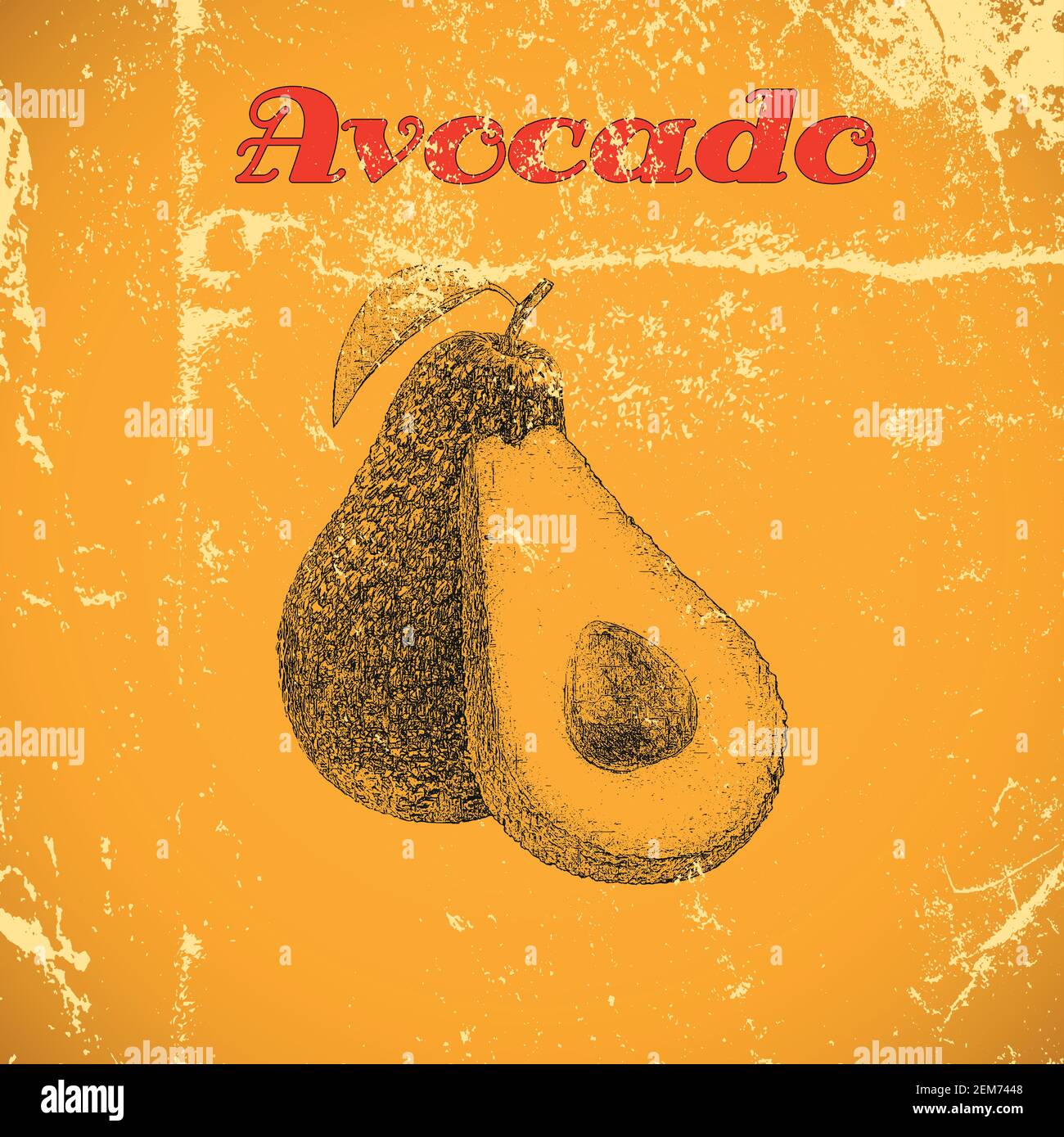 Fresh avocado on vintage Stock Vector Images - Alamy