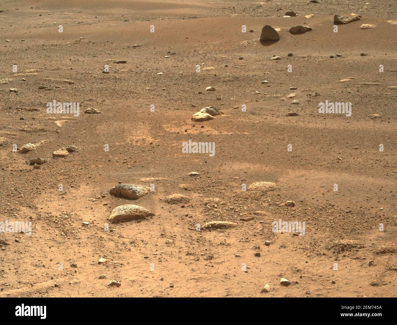 Real Time Photos From Mars