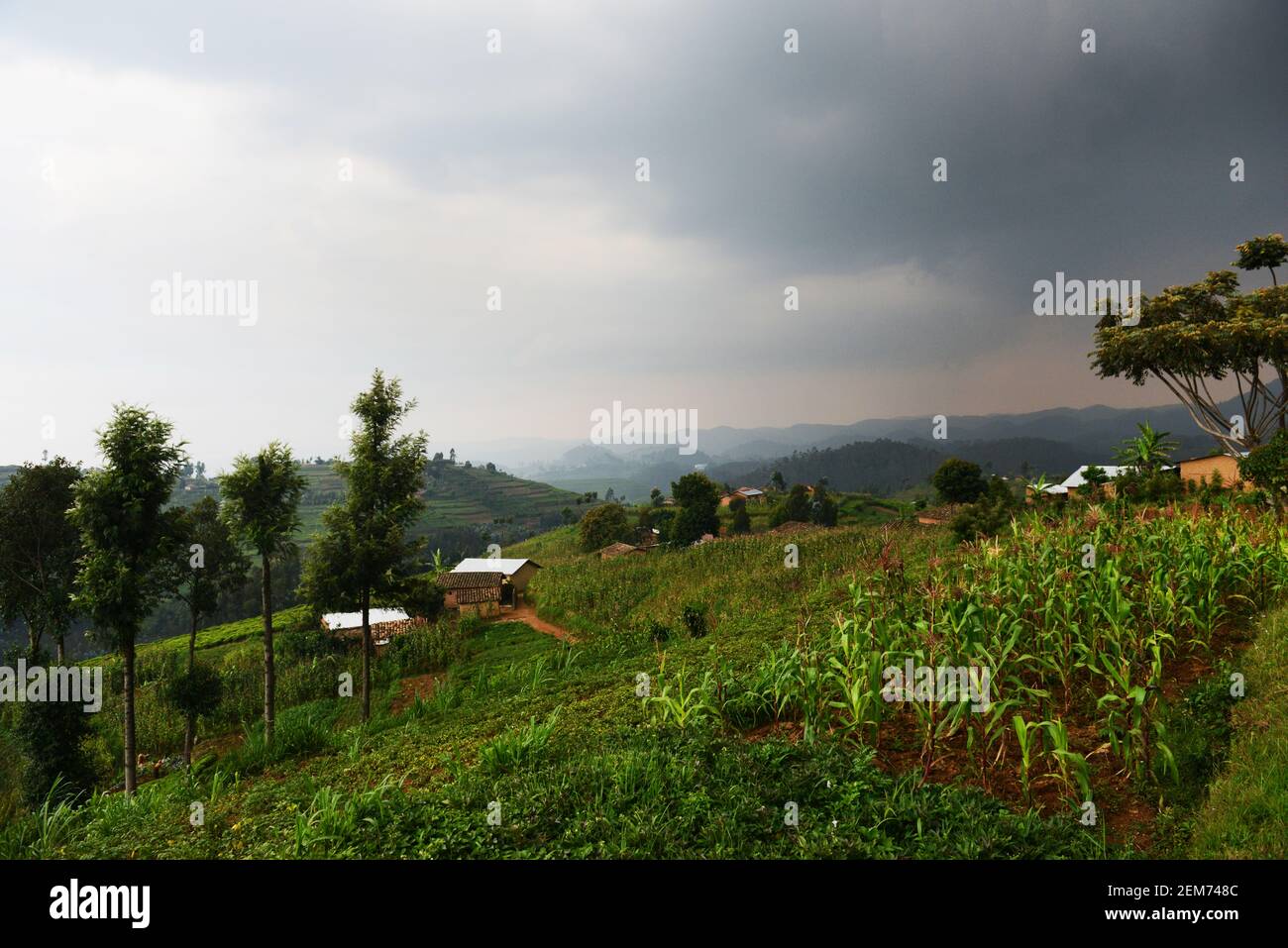 Rwandan scenery hi-res stock photography and images - Alamy