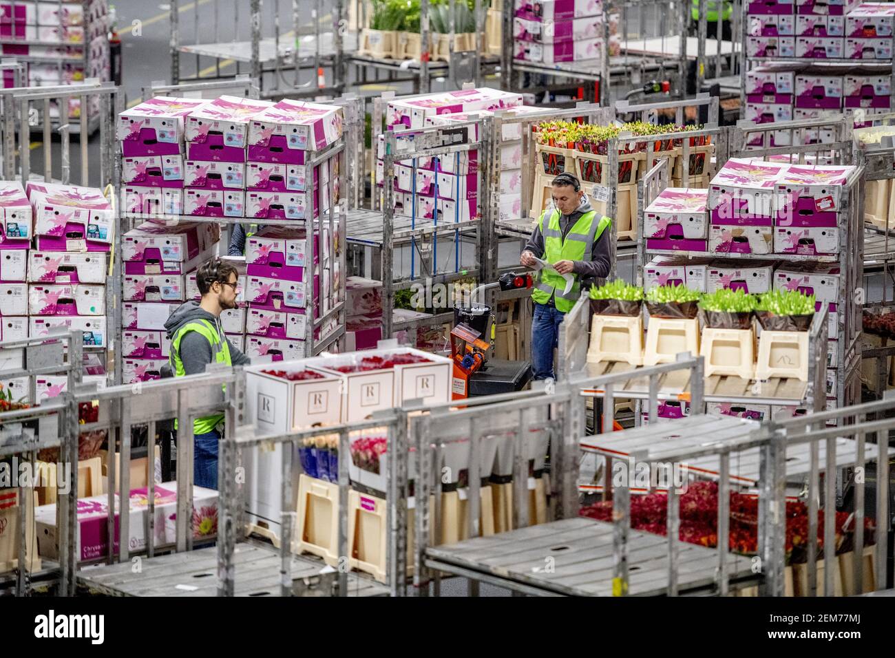 Veiling flora hi-res stock photography and images - Alamy