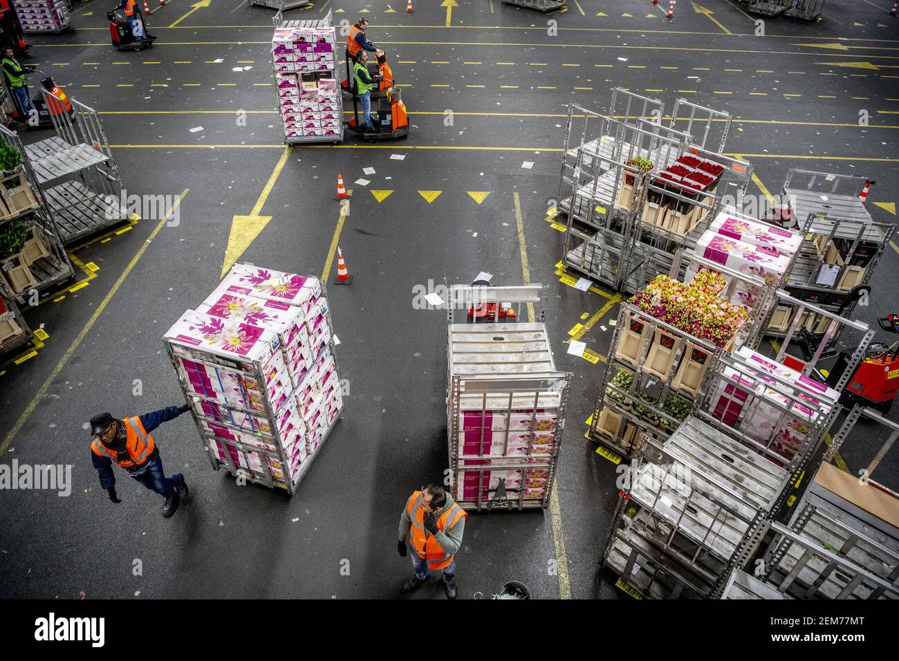 The Royal Floraholland flower auction house in Aalsmeer, The ...