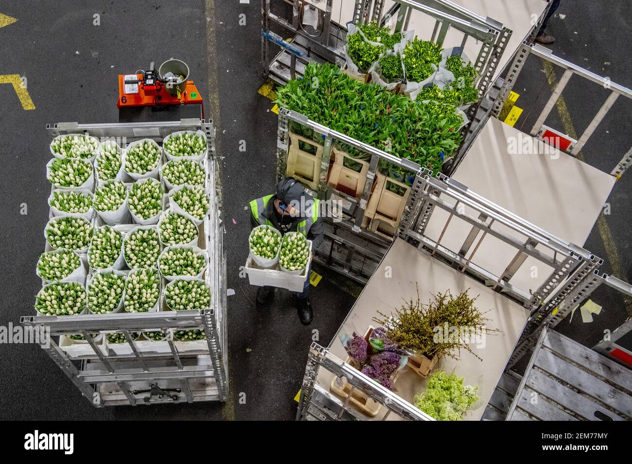 The Royal Floraholland flower auction house in Aalsmeer, The ...