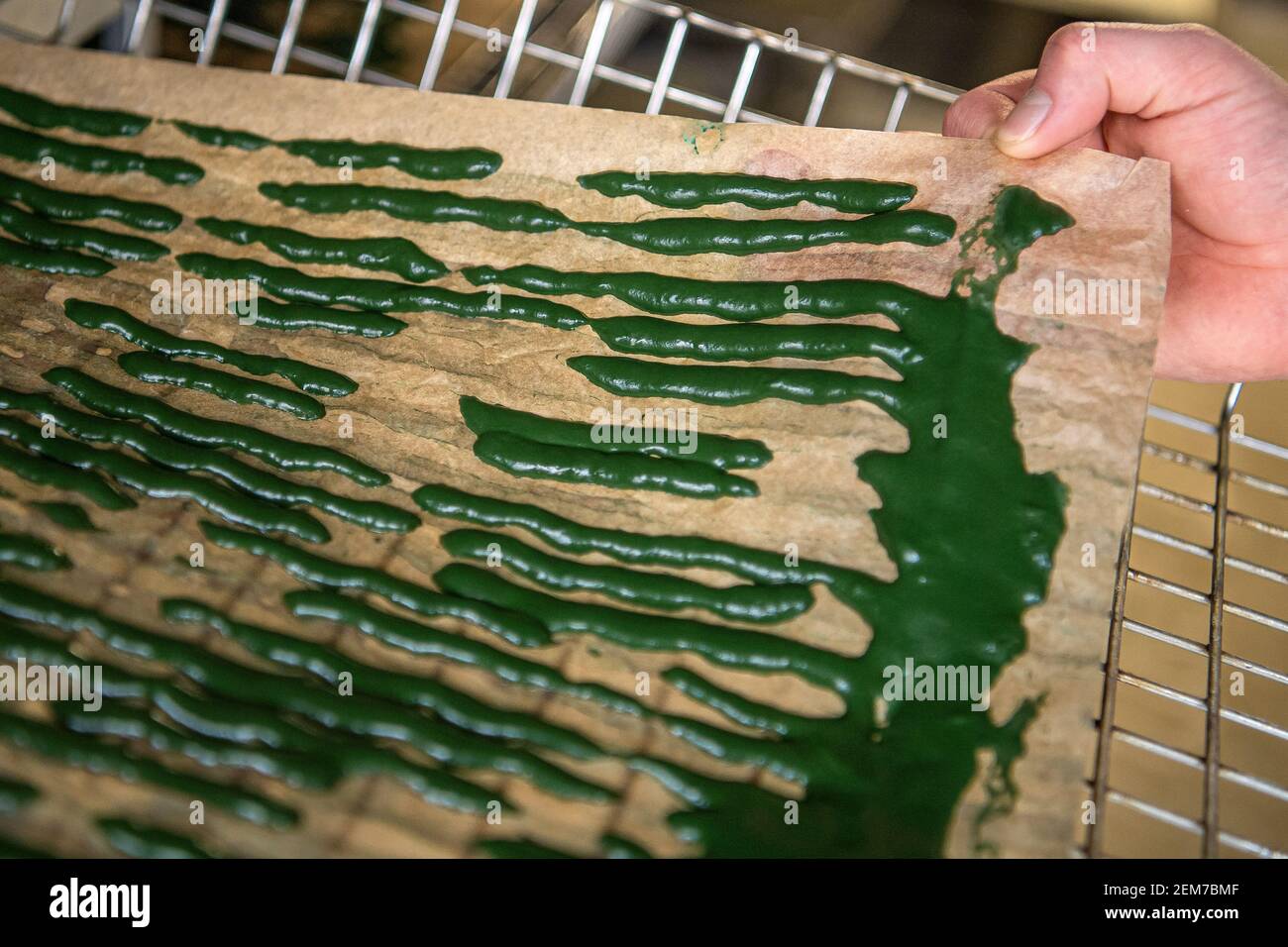 Algae paste hi-res stock photography and images - Alamy