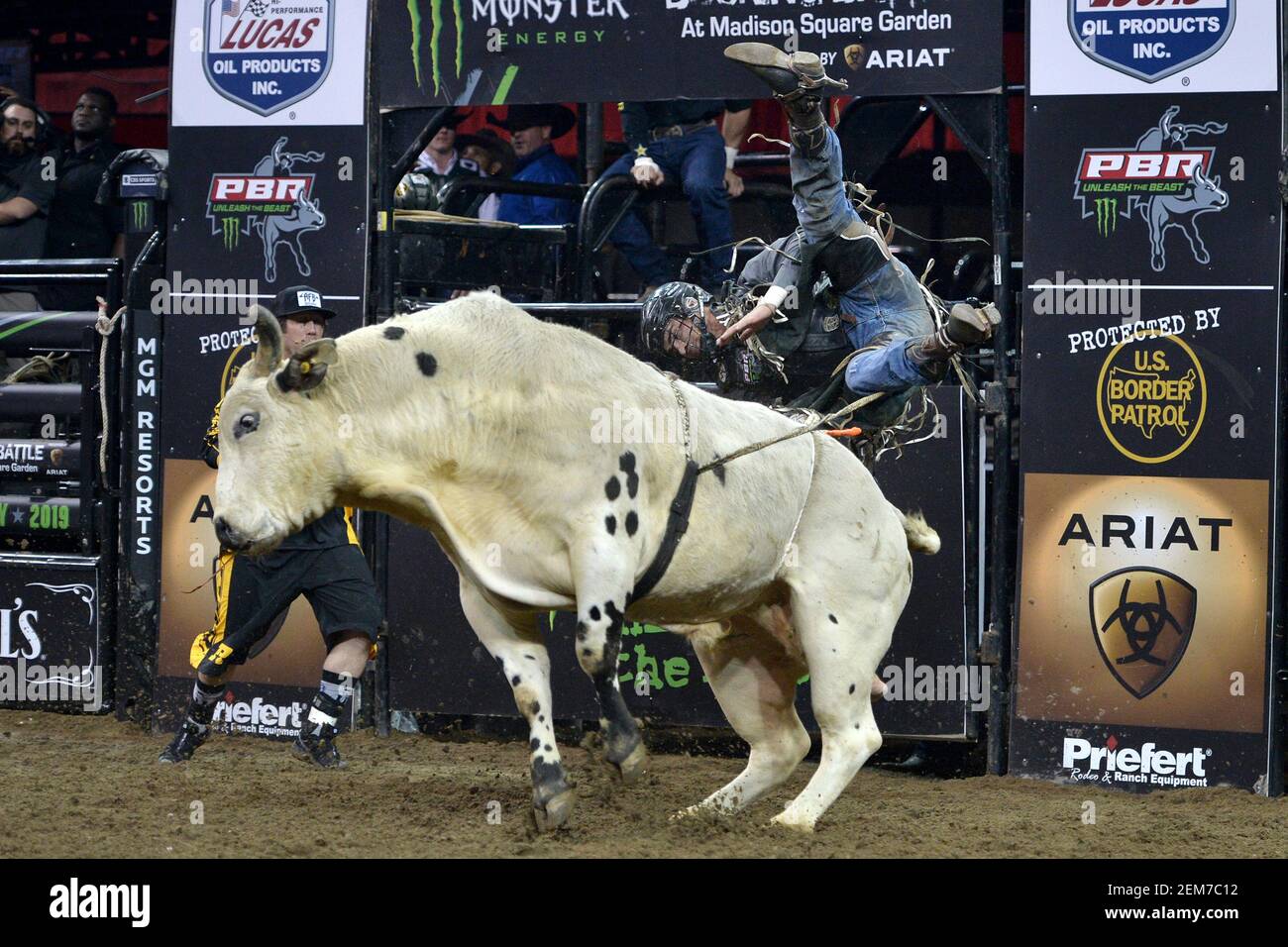 Professional bull rider Nathan Burtenshaw from New South Wales rides a ...