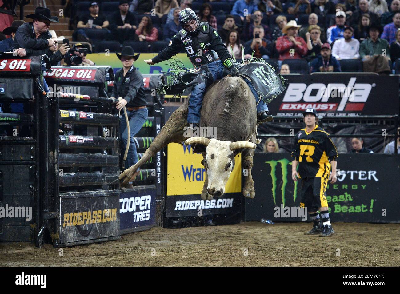 Professional bull rider Jose Vitor Leme from Brazil, rides a bull named ...