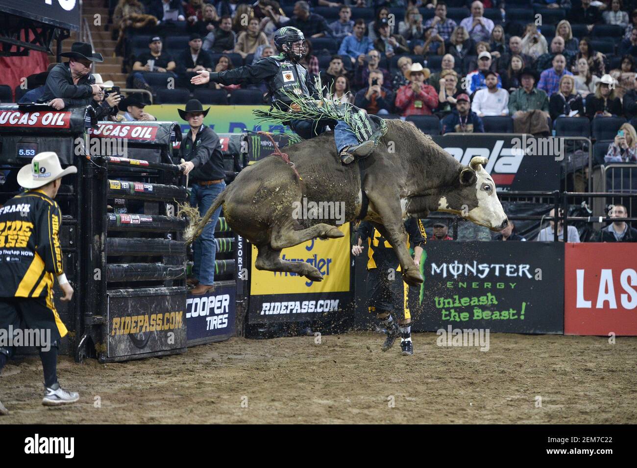 Professional bull rider Jose Vitor Leme from Brazil, rides a bull named ...