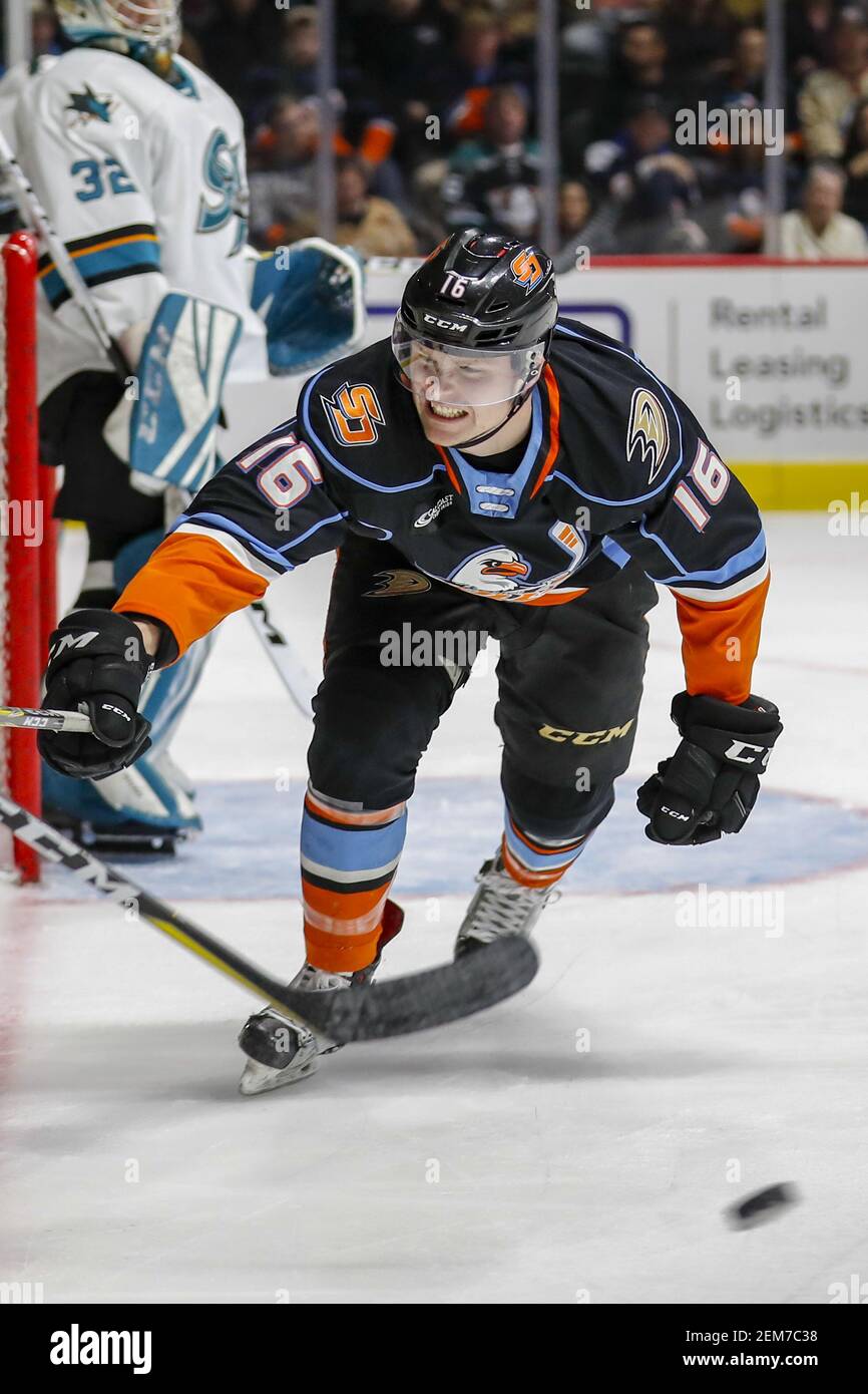 January 4,2019: Austin Ortega (16) of the San Diego Gulls at Pechanga ...