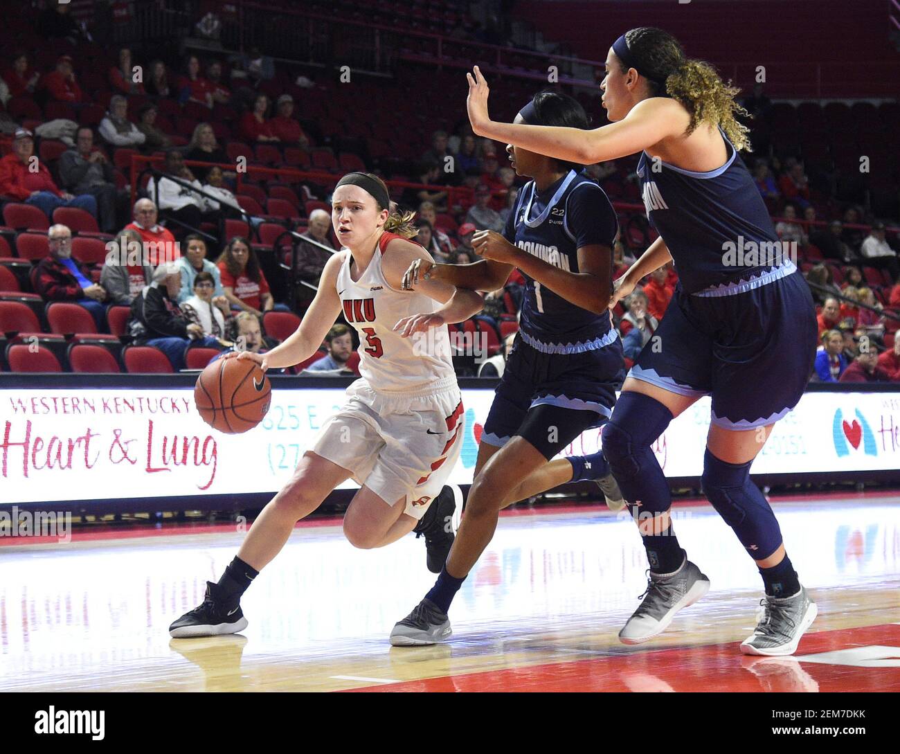 Western Kentucky Lady Toppers guard Whitney Creech (5) dribbles the ...