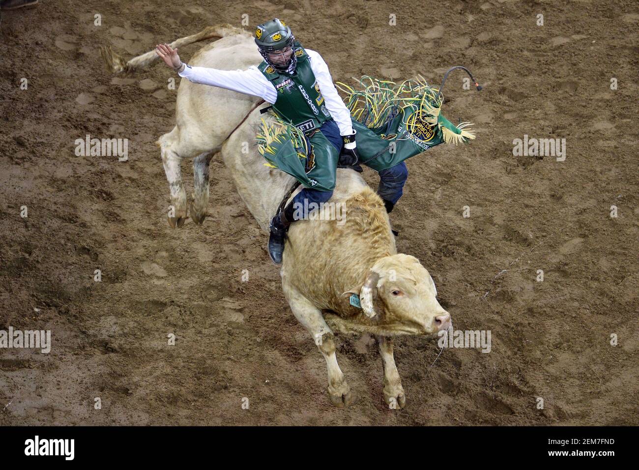 Professional bull rider Jess Lockwood rides a bull named White ...