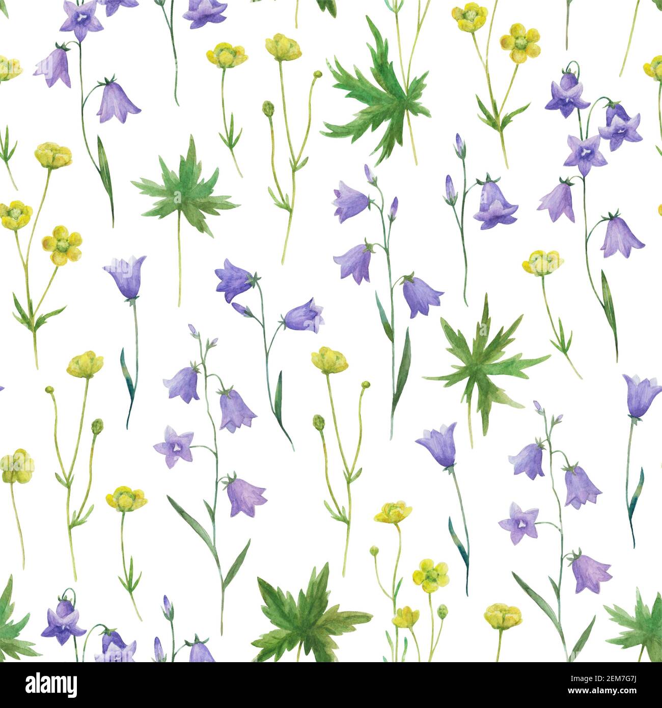 Watercolor seamless pattern with realistic bellflowers and buttercups ...