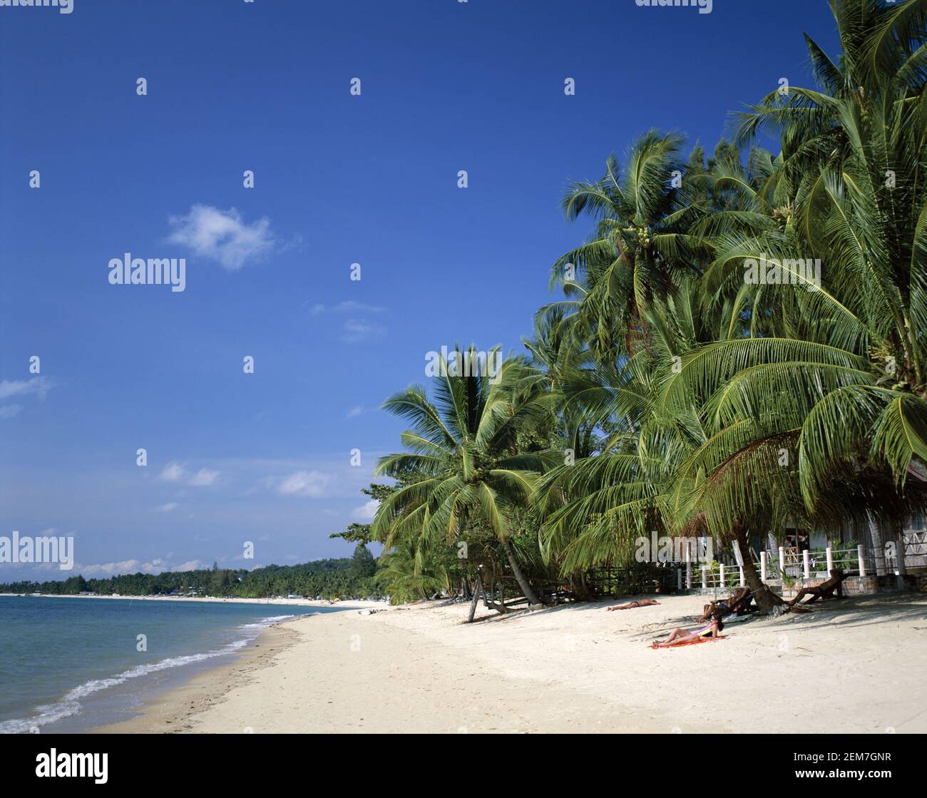 Asia,Thailand, Ko Samui Island, Chaweng Beach, a tropical Palm fringed ...