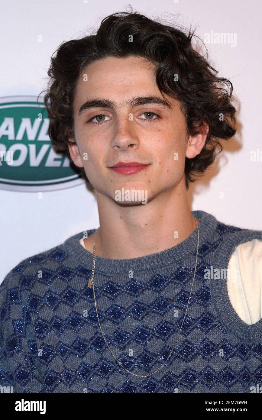 Timothee Chalamet at The BAFTA Los Angeles Tea Party held at Four ...
