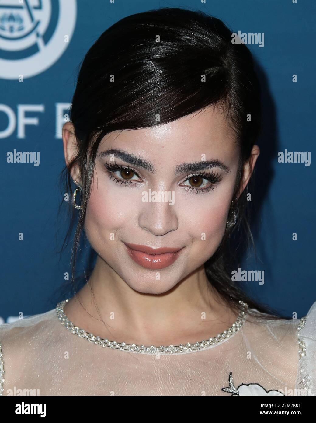 LOS ANGELES, CA, USA - JANUARY 05: Actress Sofia Carson arrives at The ...