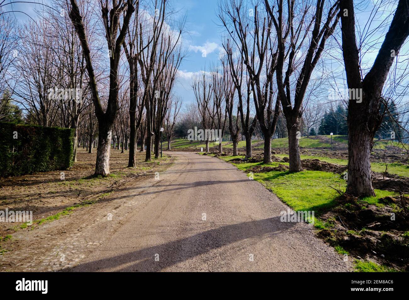 Walking paths in botanical park. Walking way is gravel and soil. Dried ...