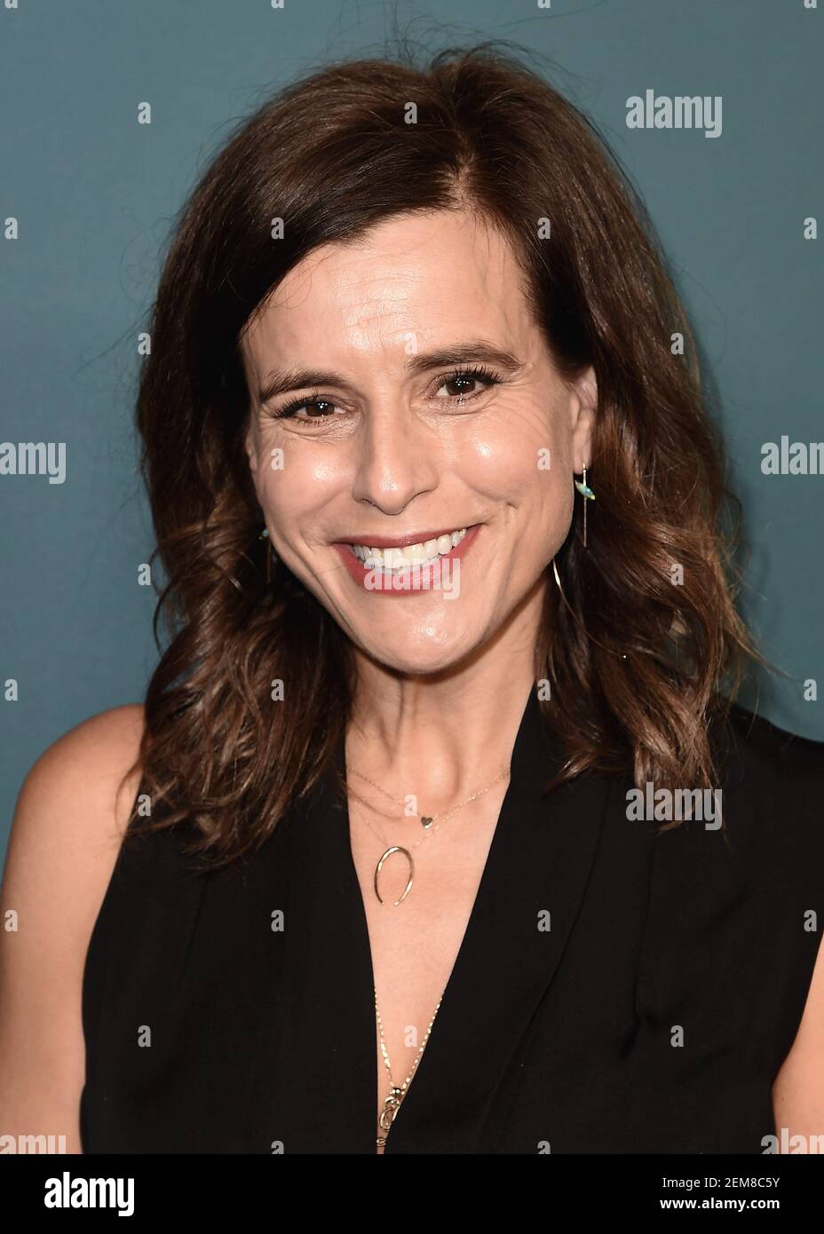 SANTA MONICA - JANUARY 10: Executive Producer Liz Heldens at the red ...