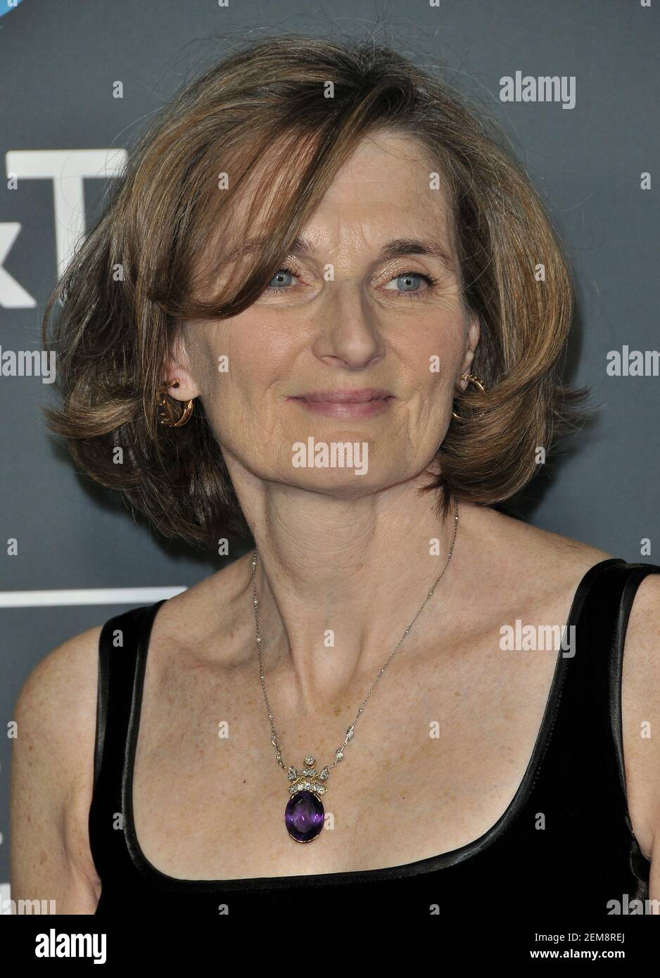 Deborah Davis at the 24th Annual Critics Choice Awards held at the ...