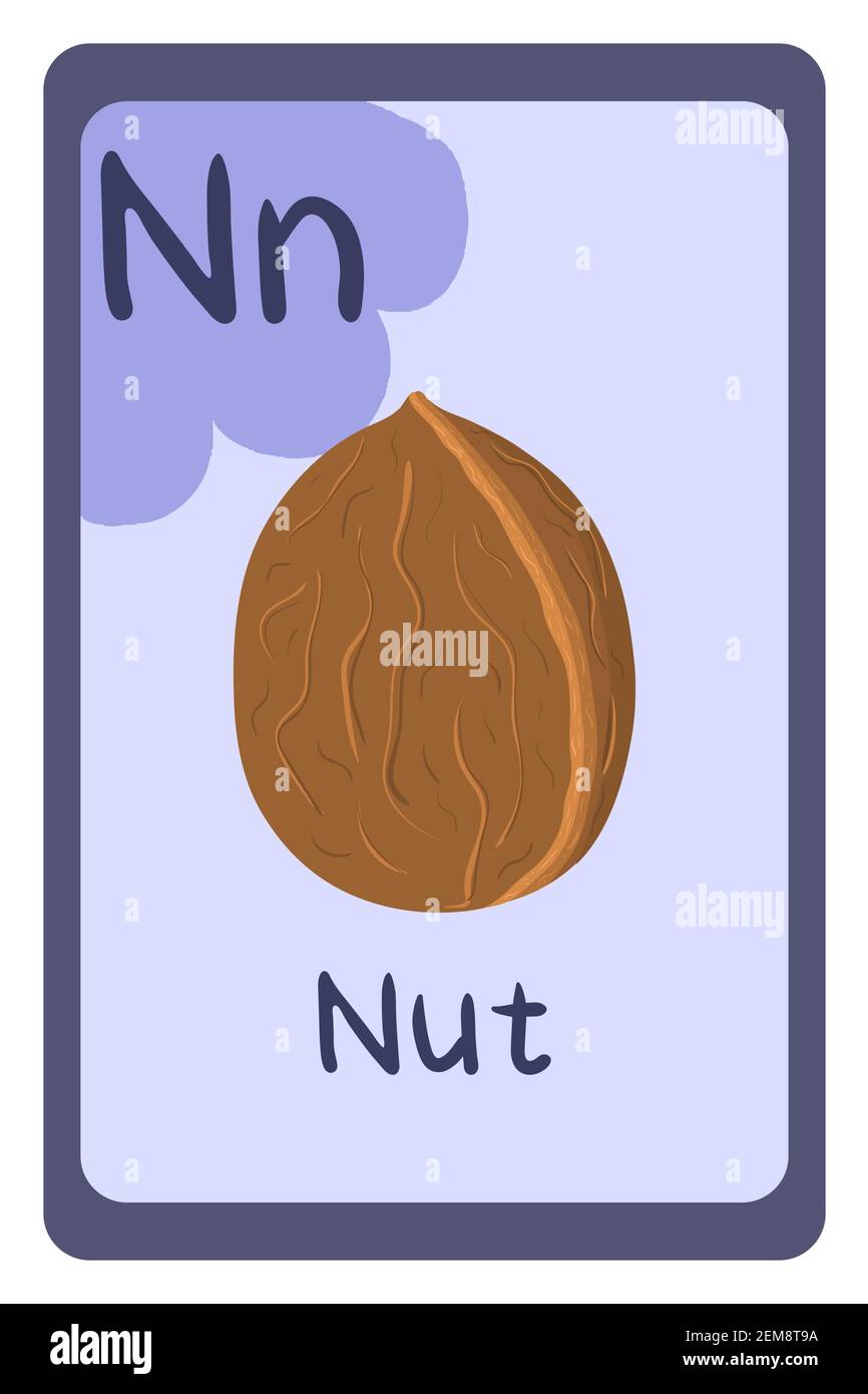 Colorful abc education flash card, Letter N - nut in shell, walnut ...