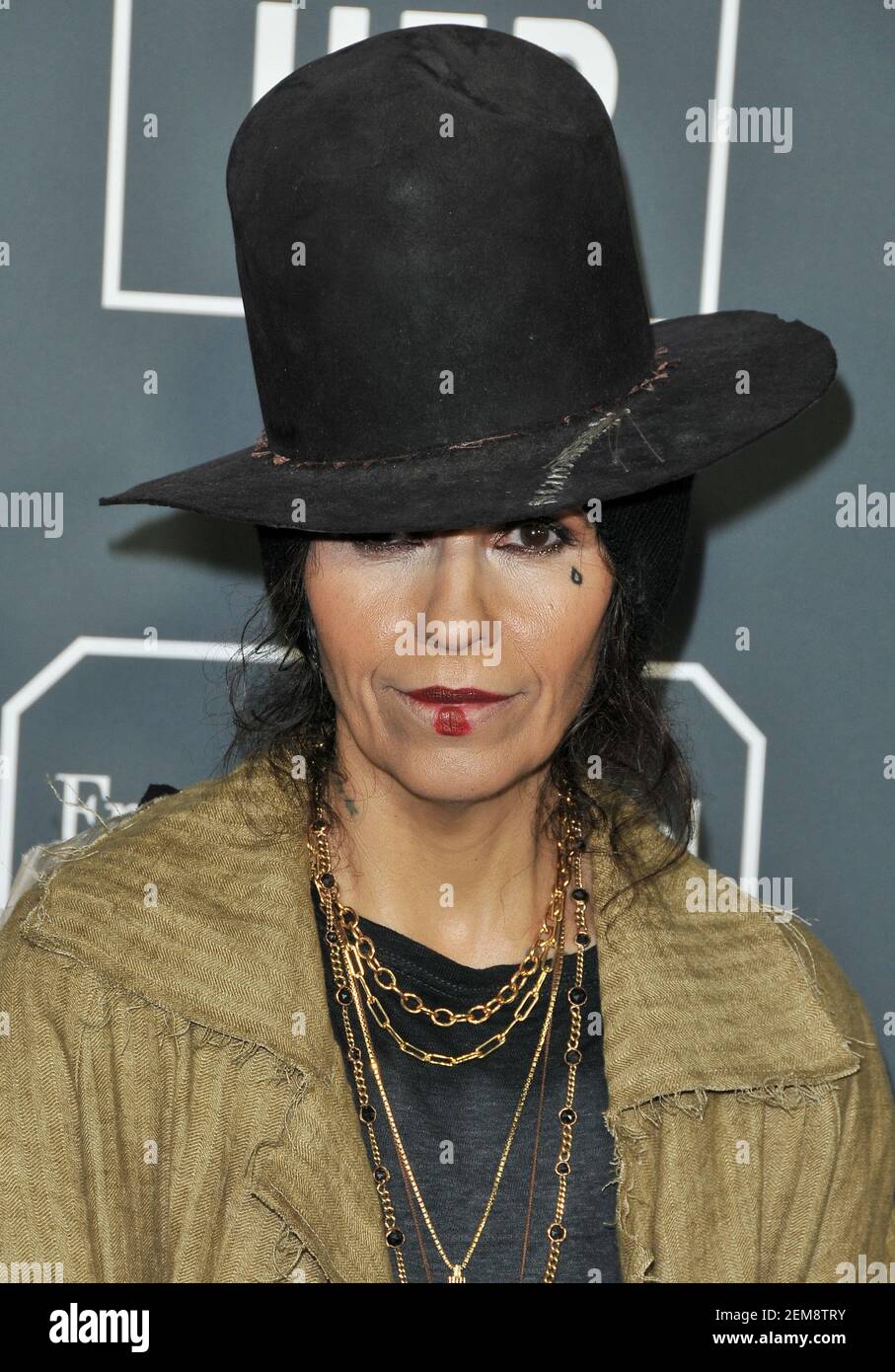 Linda Perry at the 24th Annual Critics Choice Awards held at the Barker ...