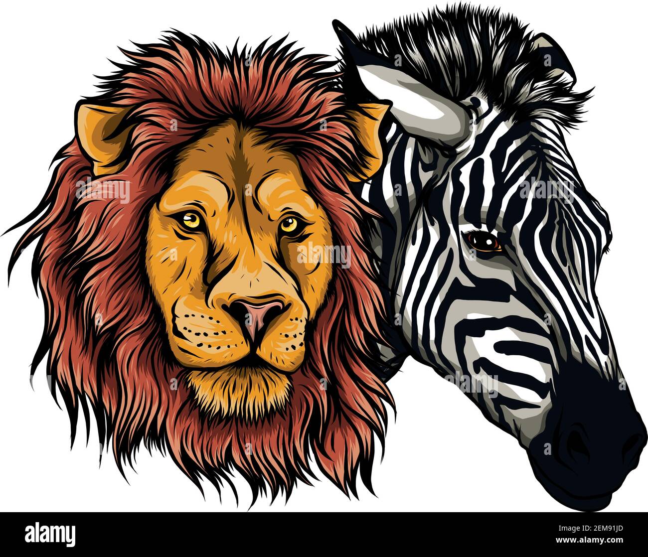 Lion Eating Zebra Drawing