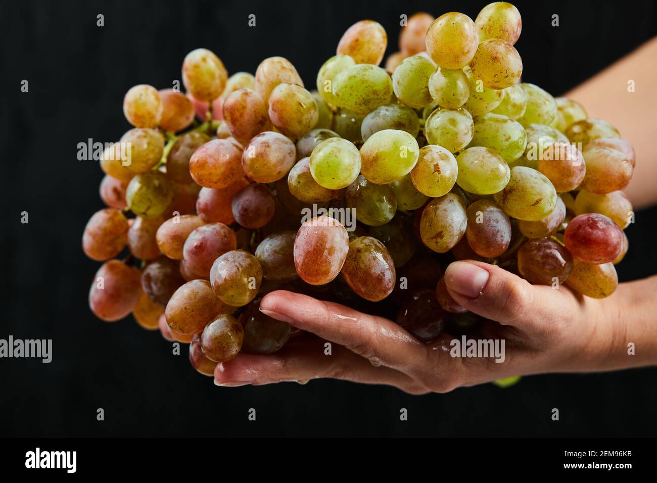 Hand on fresh grape hi-res stock photography and images - Alamy