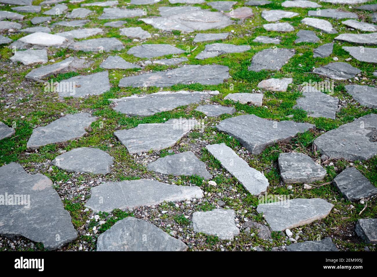 Old and retro style path way. It is made of stones and green grass are ...