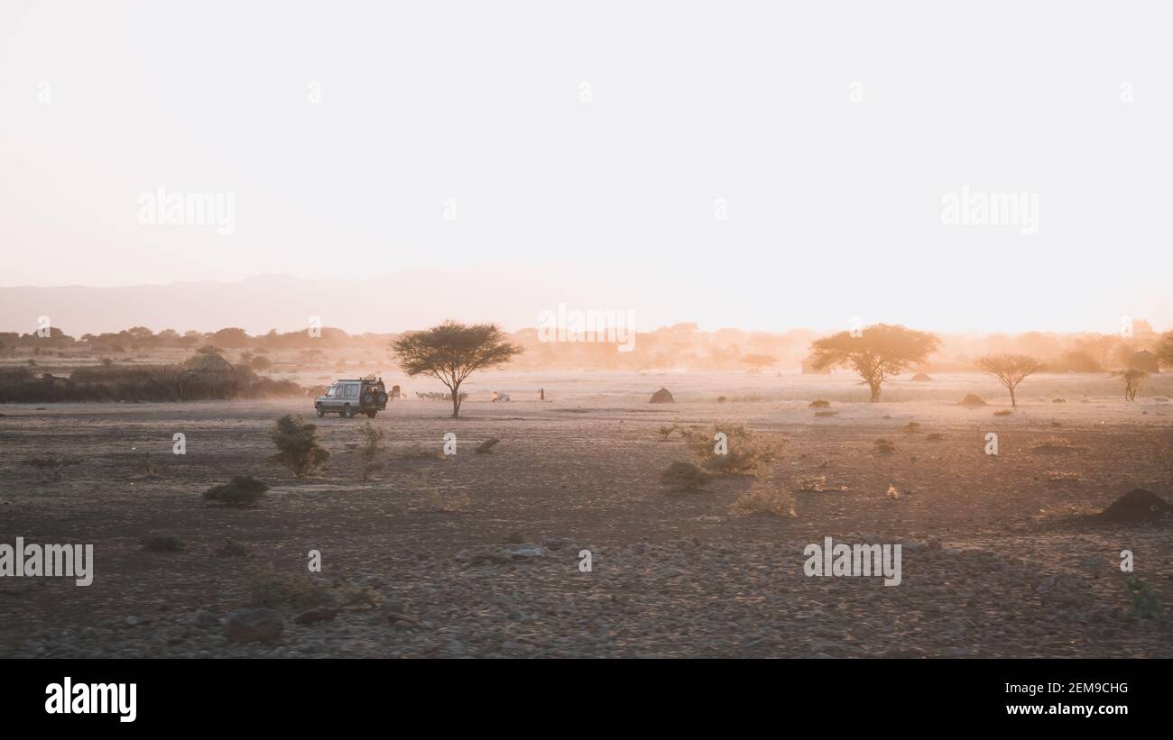 African landscape at sunset, with acacia trees and safari car. Arusha ...