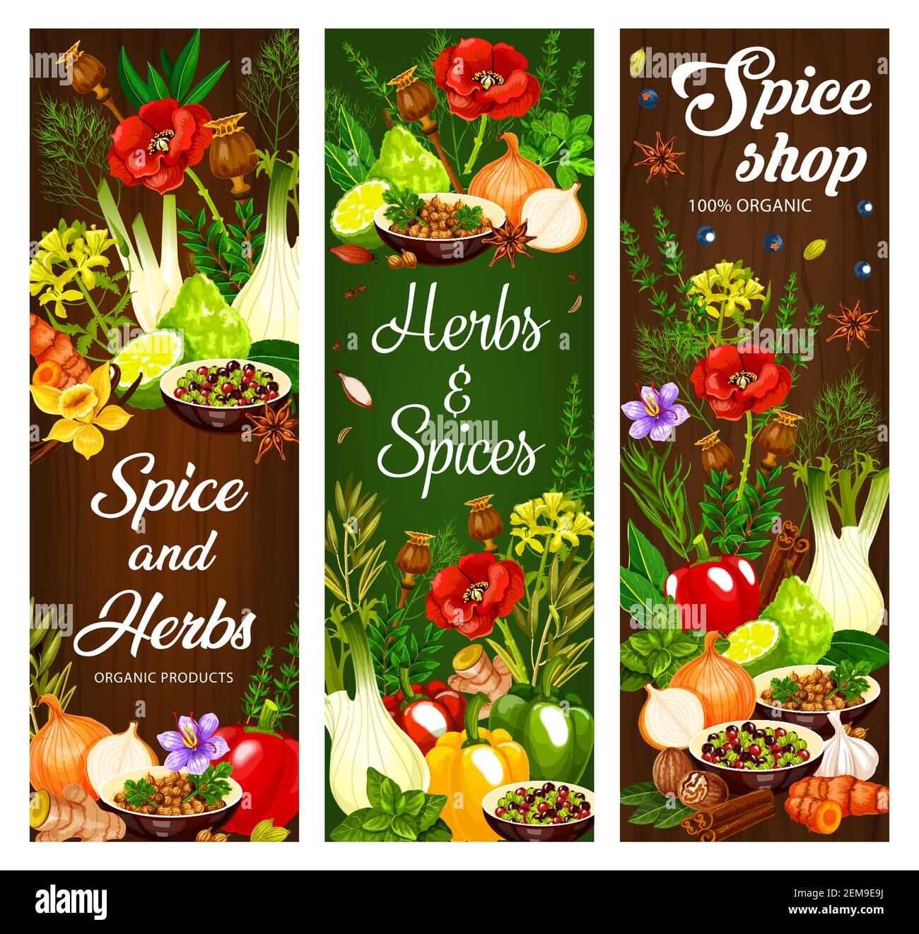 Oriental fennel flower Stock Vector Images - Alamy