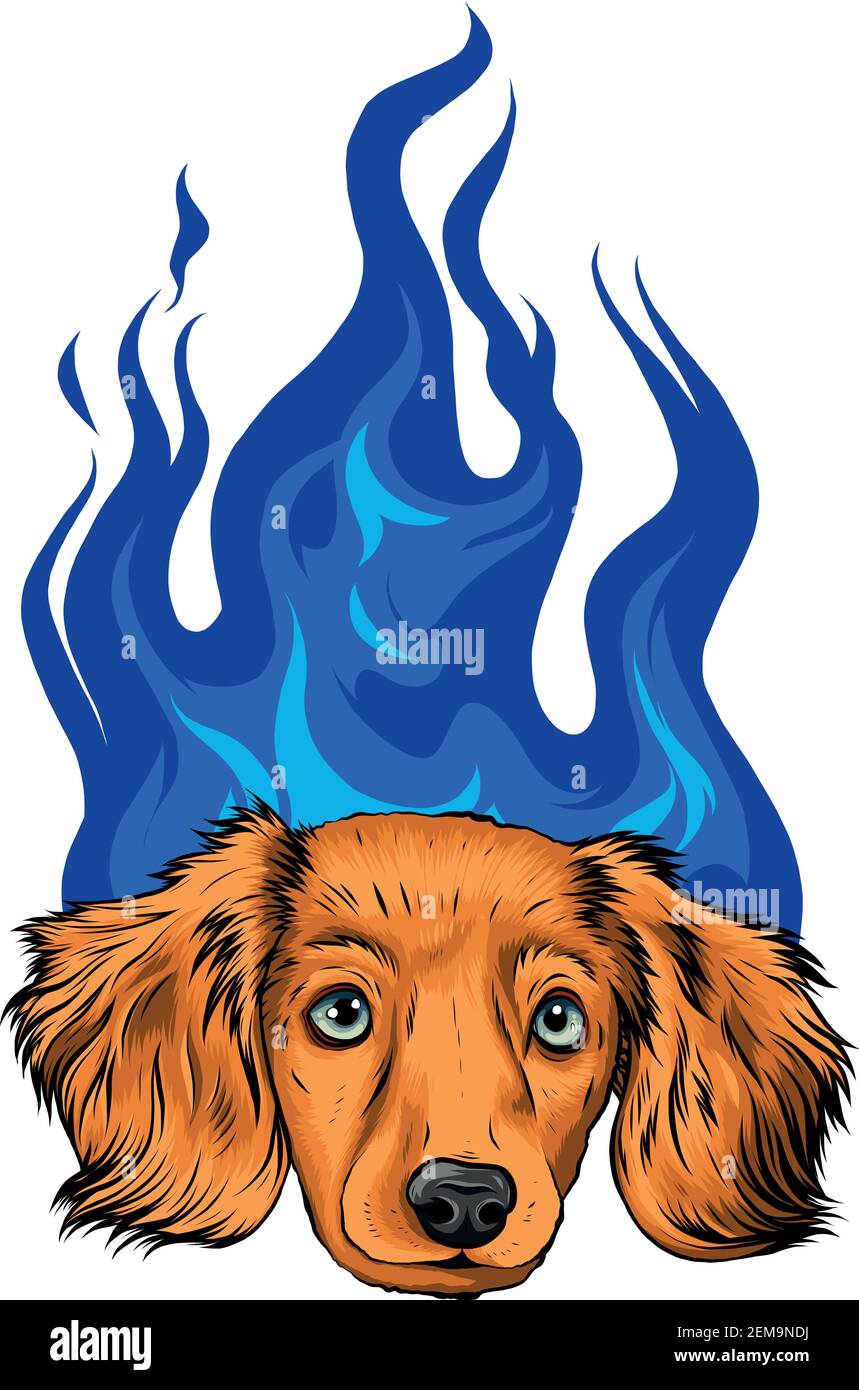 puppy Dog with Flame ornaments vector illustration Stock Vector Image ...