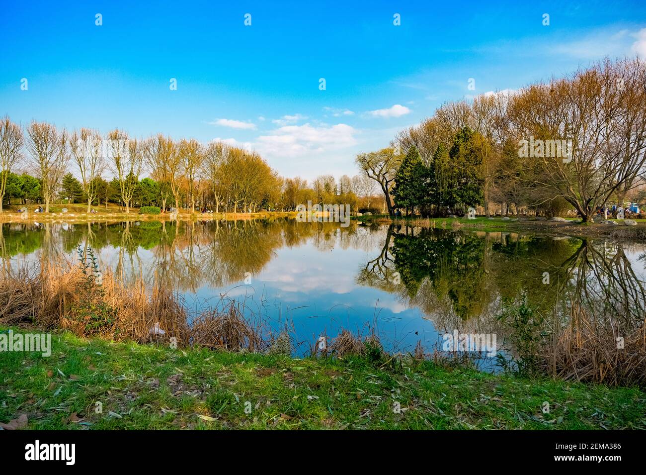 Small lake and pond view with autumn colors. Great trees and their ...