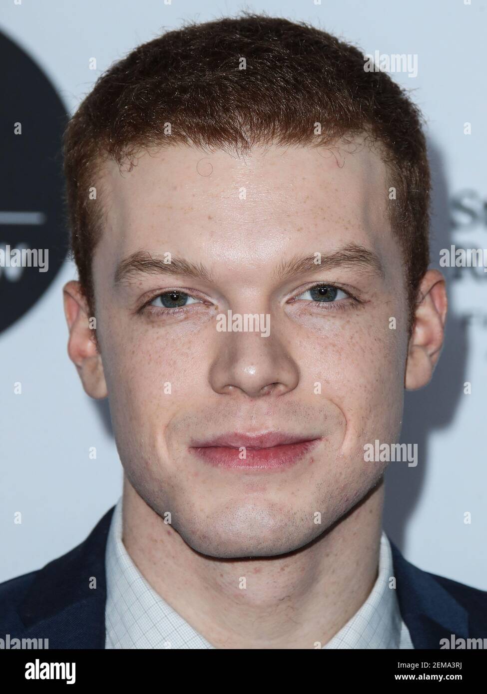 LOS ANGELES, CA, USA - JANUARY 23: Actor Cameron Monaghan arrives at ...