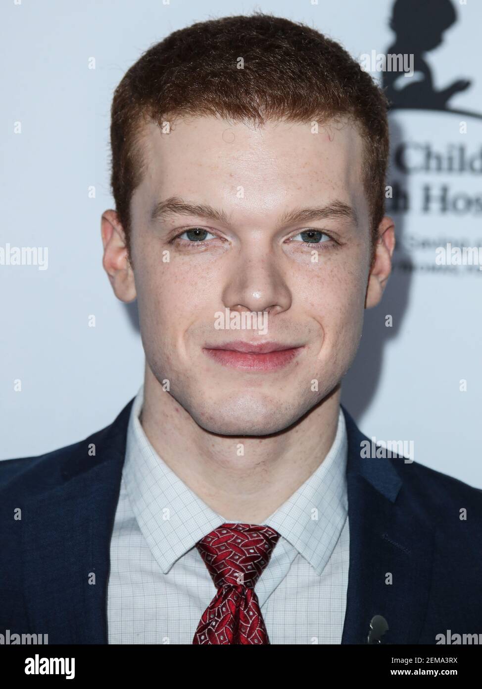 LOS ANGELES, CA, USA - JANUARY 23: Actor Cameron Monaghan arrives at ...