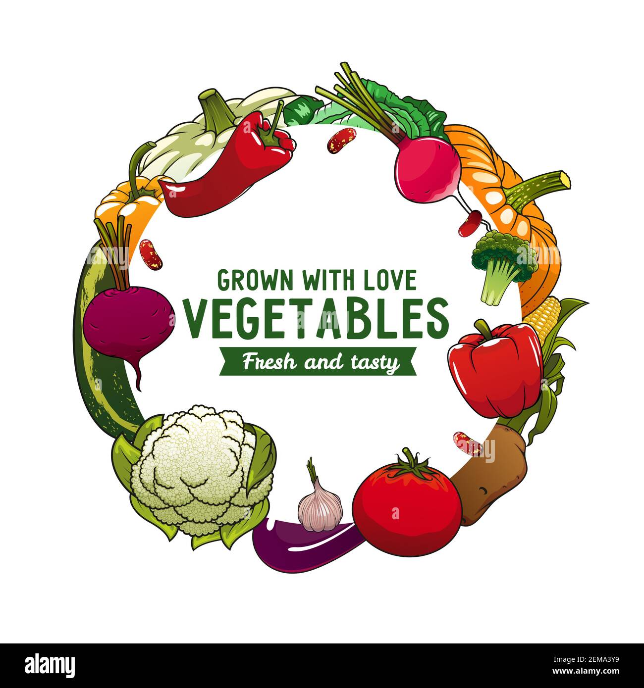 Vegetables vector banner of farm harvest veggie food. Garden tomato ...