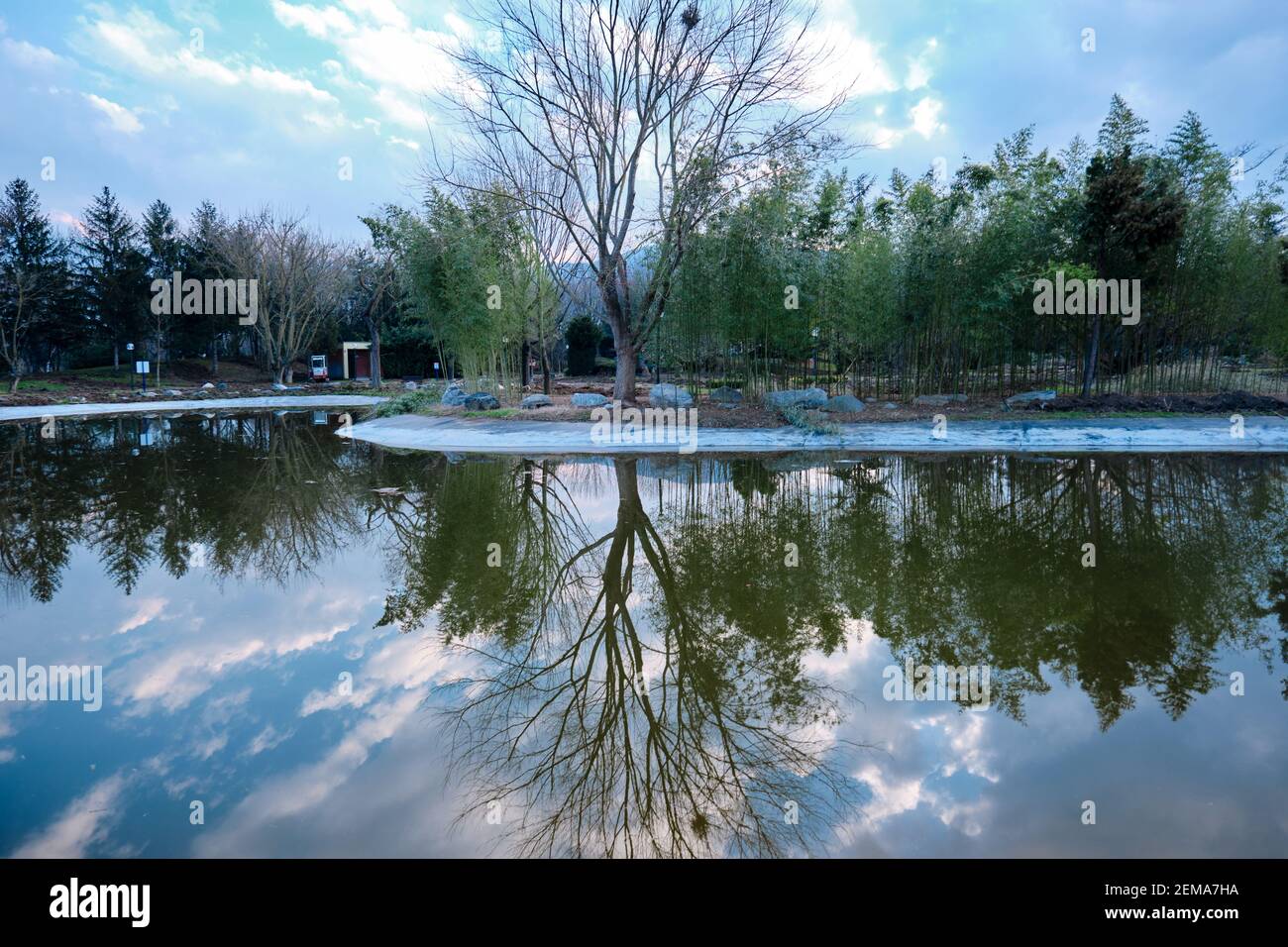 Small lake and pond view with autumn colors. Great trees and their ...