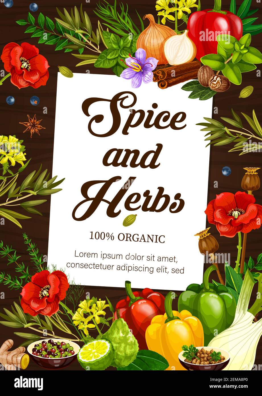 Spices and herbs, vector poster, natural cooking seasonings and herbal ...