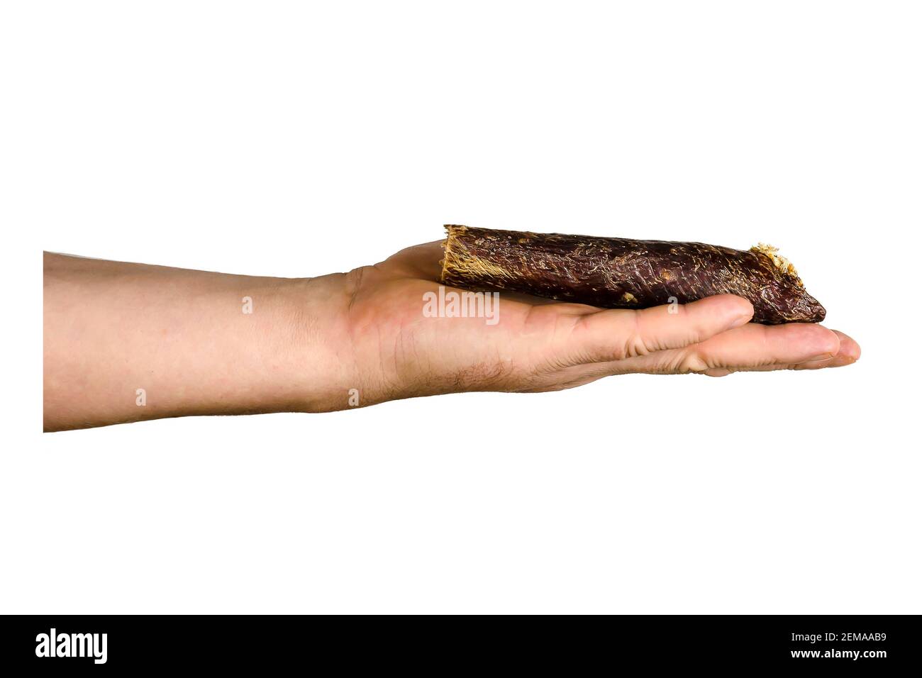 Men's Hand demonstrates Dried beef esophagus sticks. Chews treats for ...