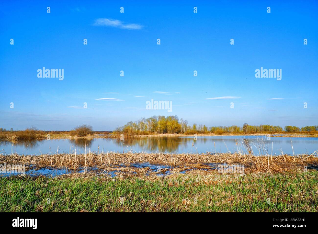Spring landscape with high spring water on a sunny day against a blue ...