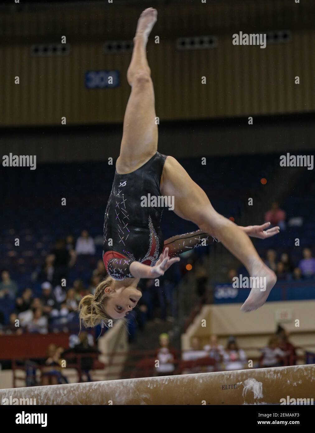 January 26, 2019: A Denver gymnast performs a tumbling pass on the ...