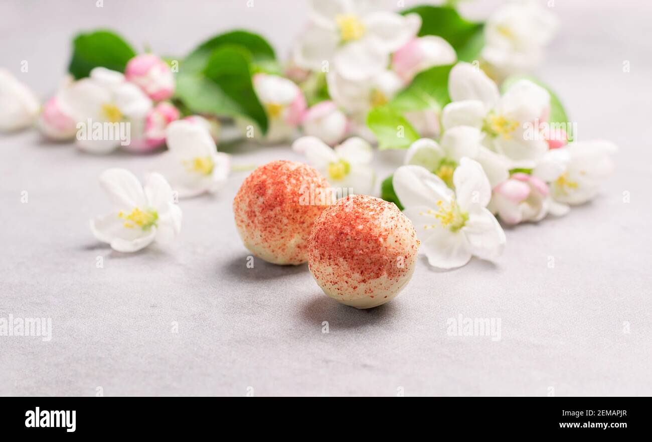 Chocolate candies on a gray background. Holiday concept. Minimalism ...