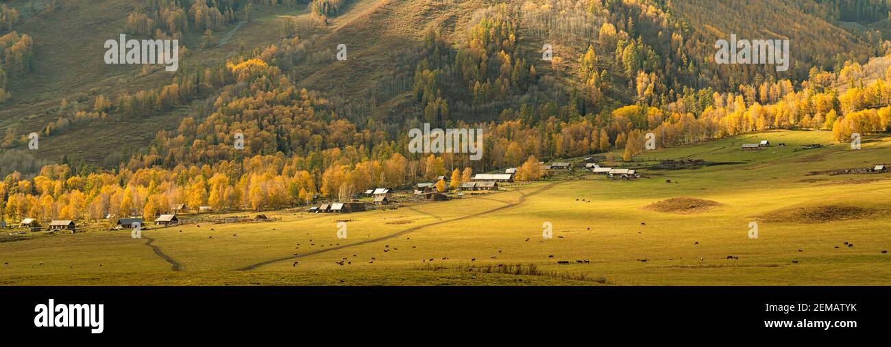 --File--Photos show the beautiful autumn sceneries in Kanas, northwest ...