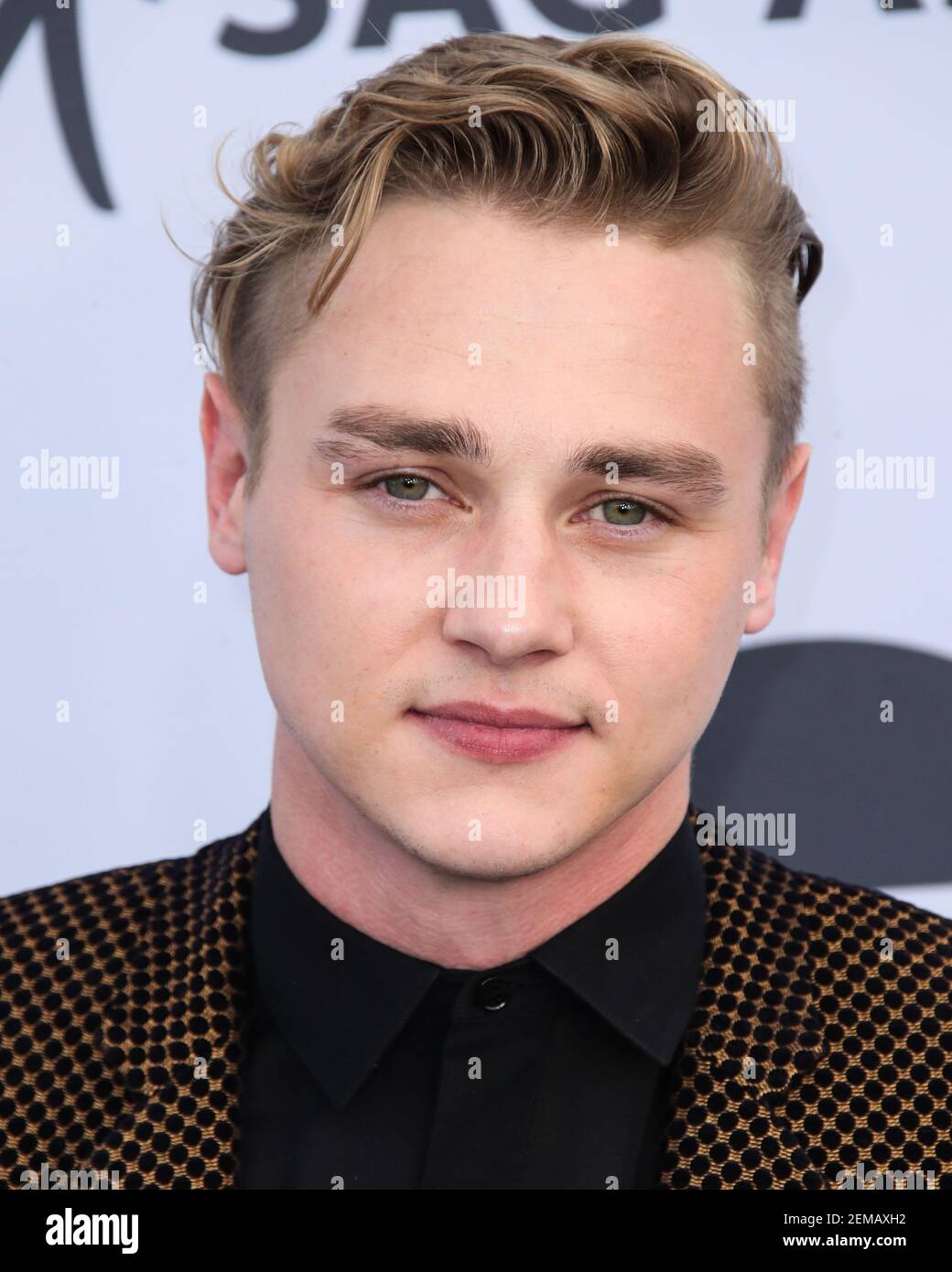 LOS ANGELES, CA, USA - JANUARY 27: Actor Ben Hardy arrives at the 25th ...