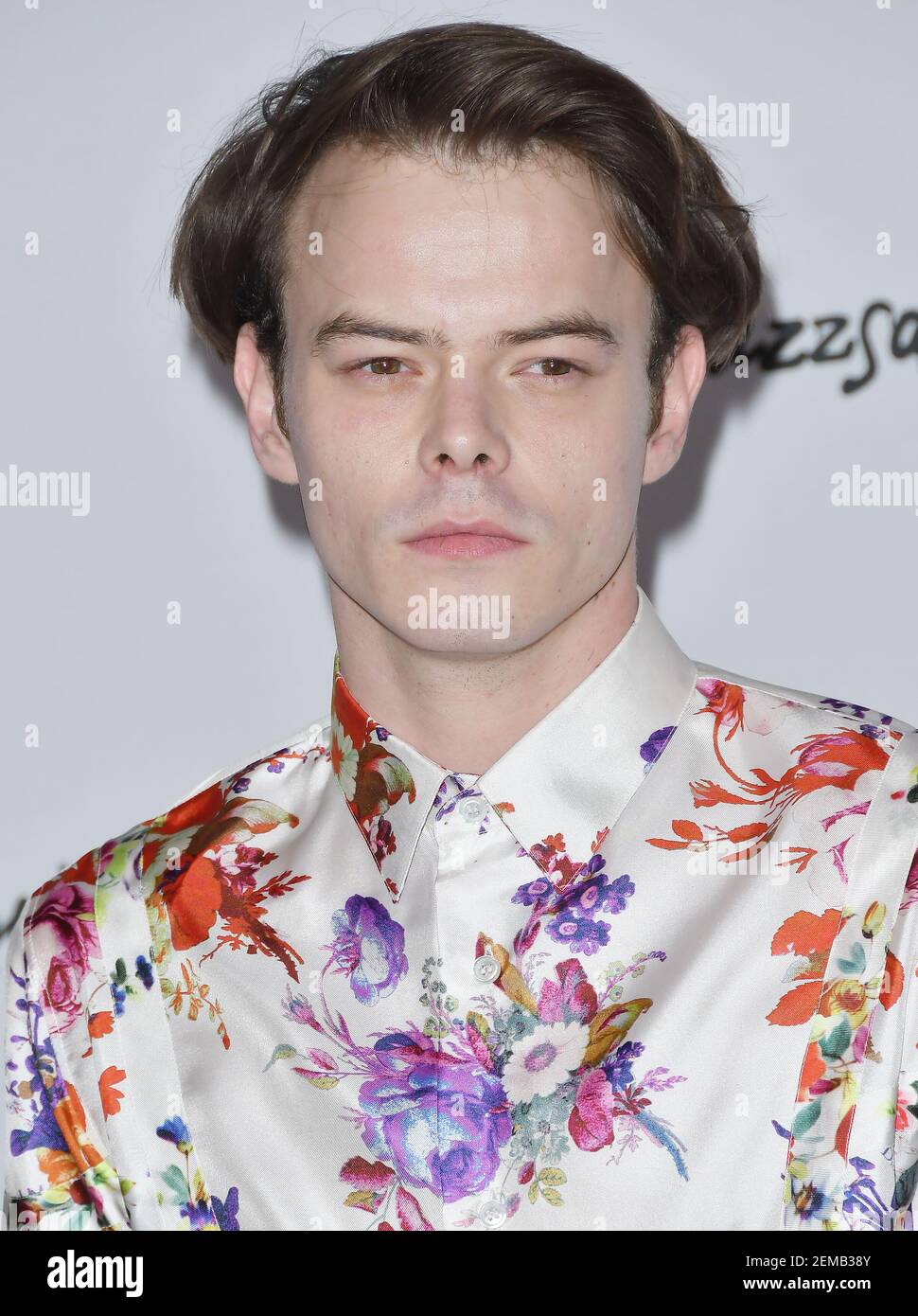 Charlie Heaton arrives at the "Velvet Buzzsaw" Los Angeles Premiere ...