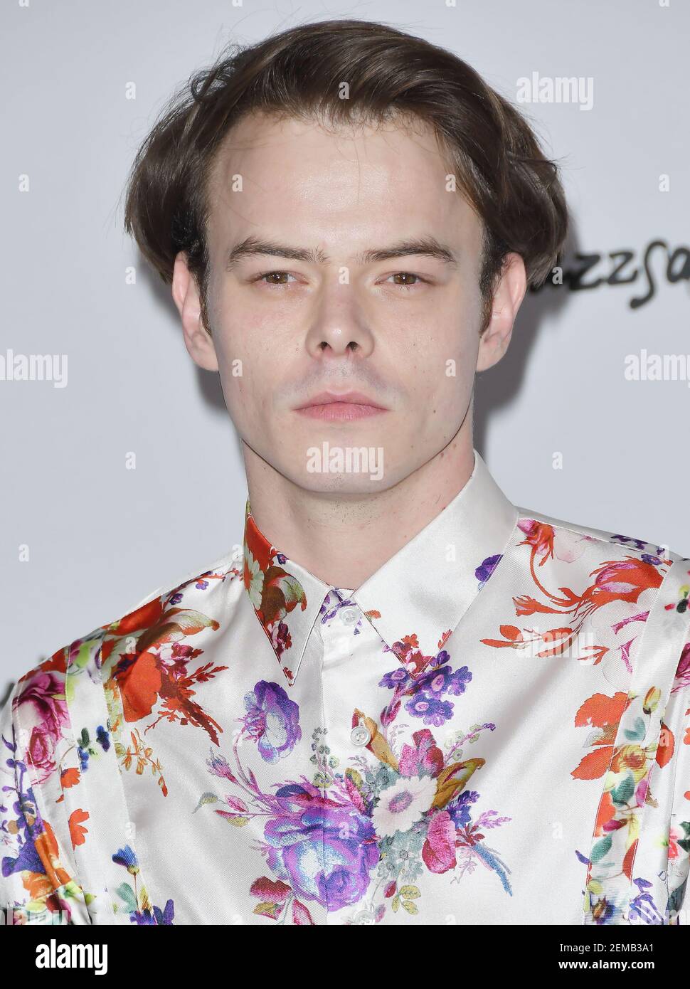Charlie Heaton arrives at the "Velvet Buzzsaw" Los Angeles Premiere ...