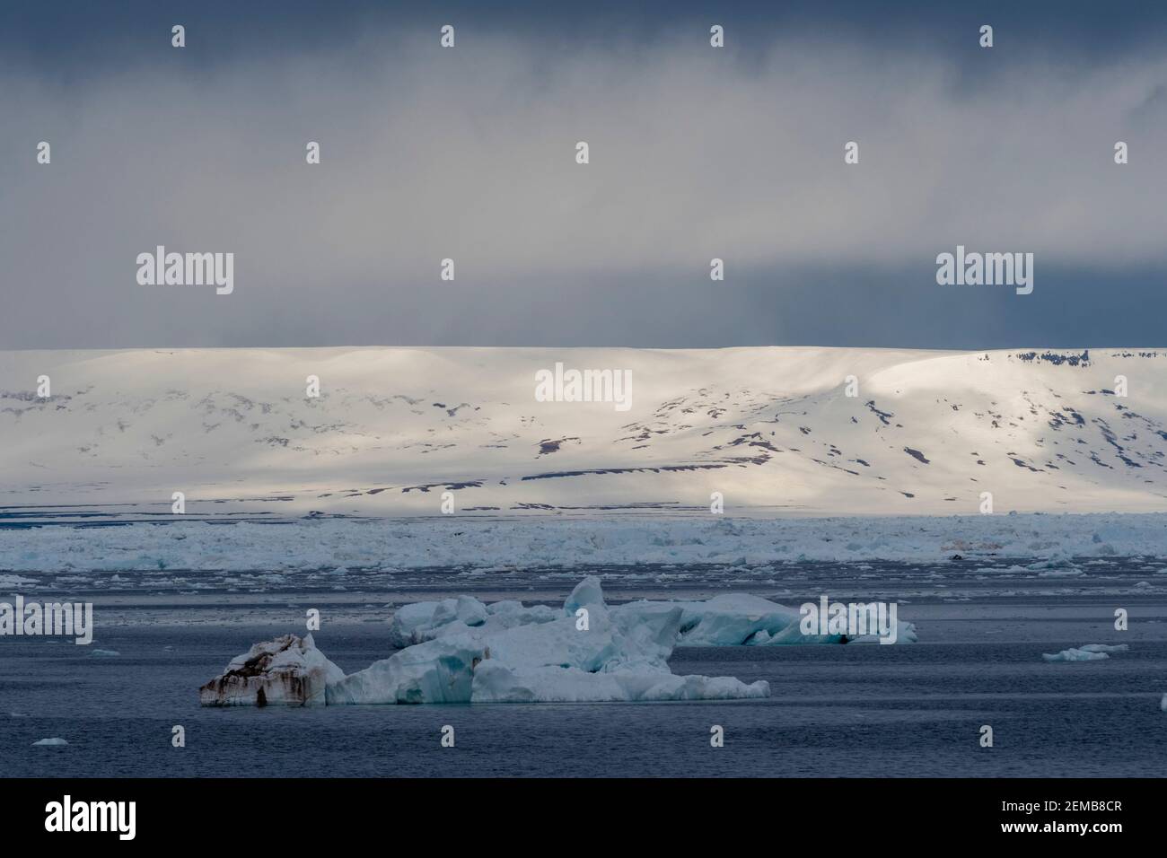 Ice floes in the Erik Eriksenstretet, strait separating Kong Karls Land ...
