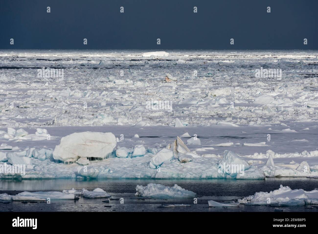 Ice floes in the Erik Eriksenstretet, strait separating Kong Karls Land ...