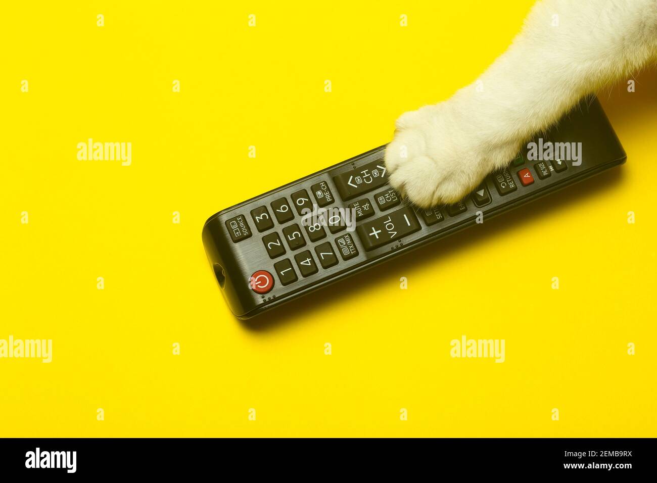 Paw control hi-res stock photography and images - Alamy