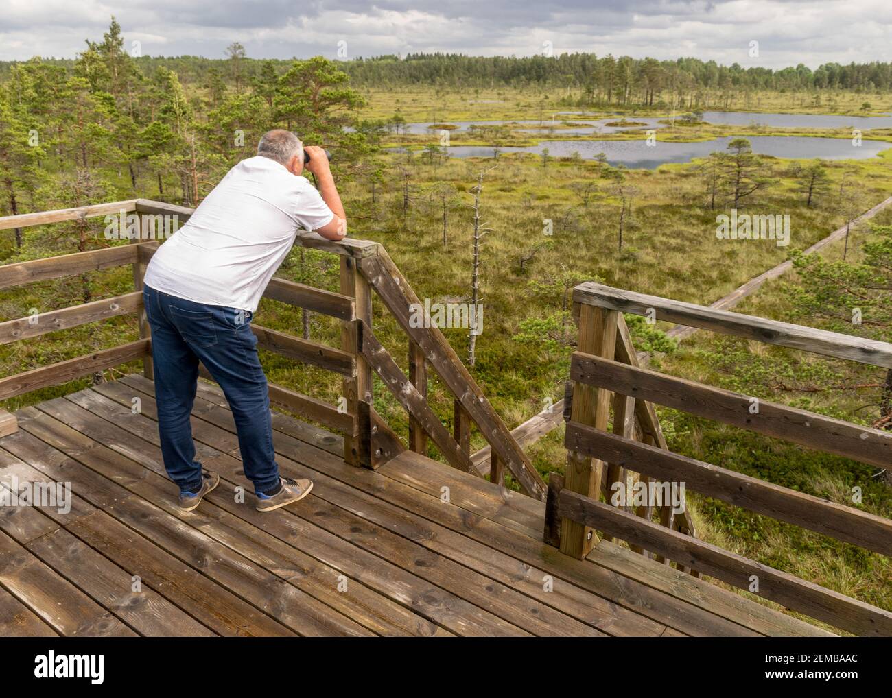 man viewing binoculars from the lookout tower, swamp background, summer ...