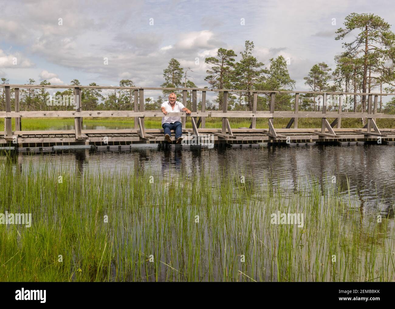 landscape in the summer swamp. a man in a white shirt sits on a wooden ...