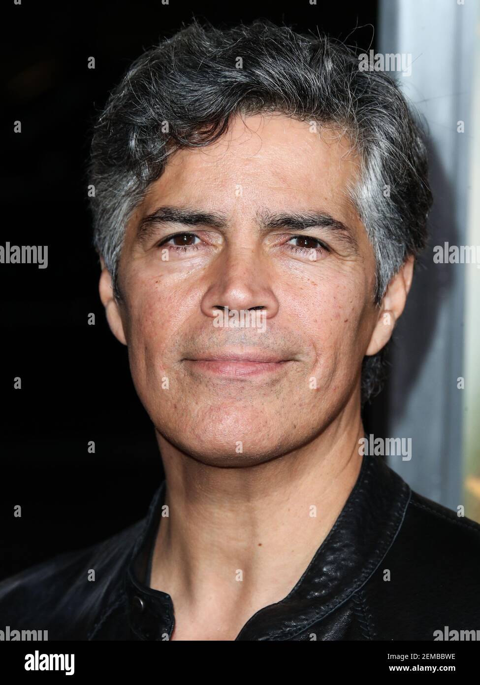 LOS ANGELES, CA, USA - JANUARY 30: Actor Esai Morales arrives at the Los Angeles Premiere Of ...