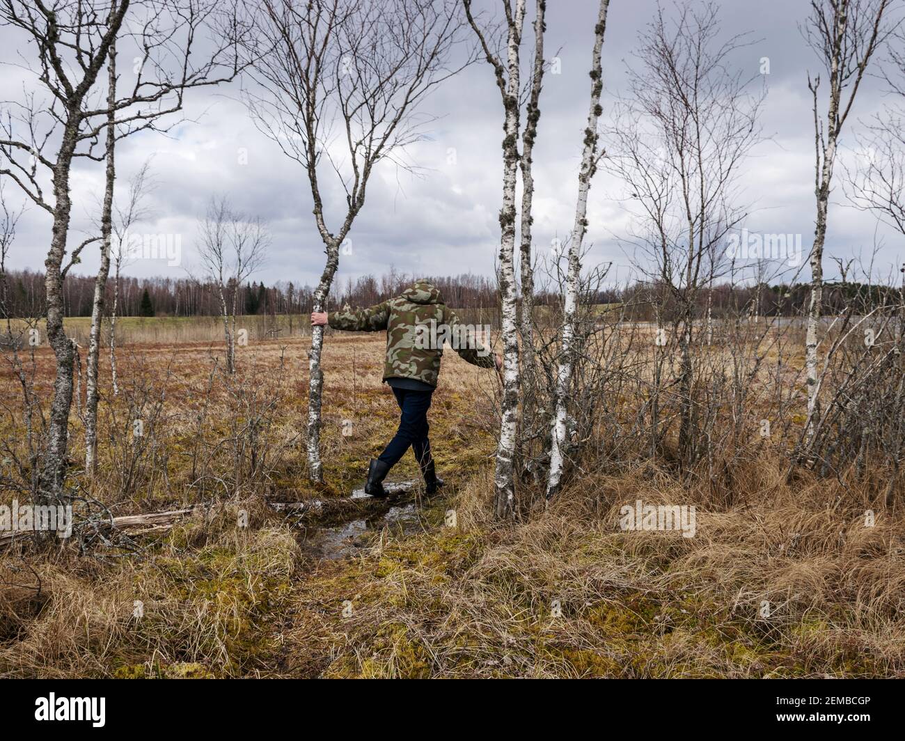 monotonous landscape with a man in a swamp, traditional swamp ...
